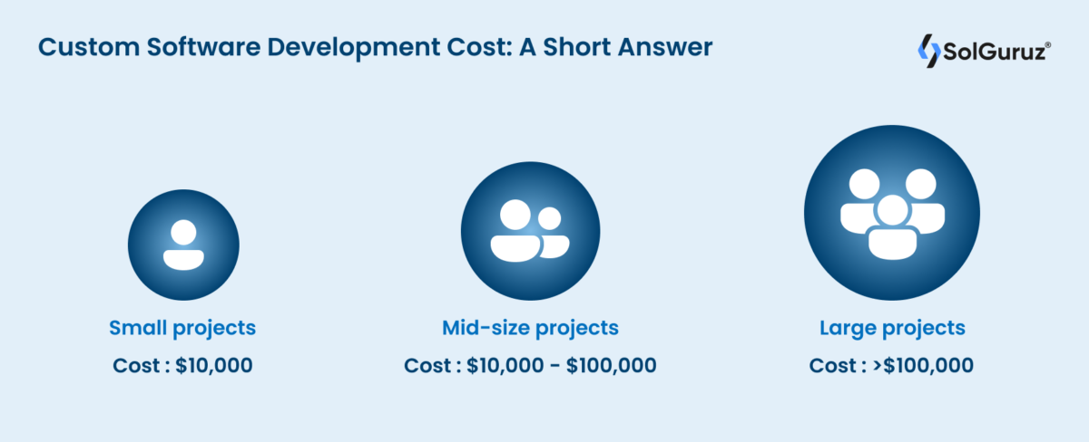 How Much Does Custom Software Development Cost?